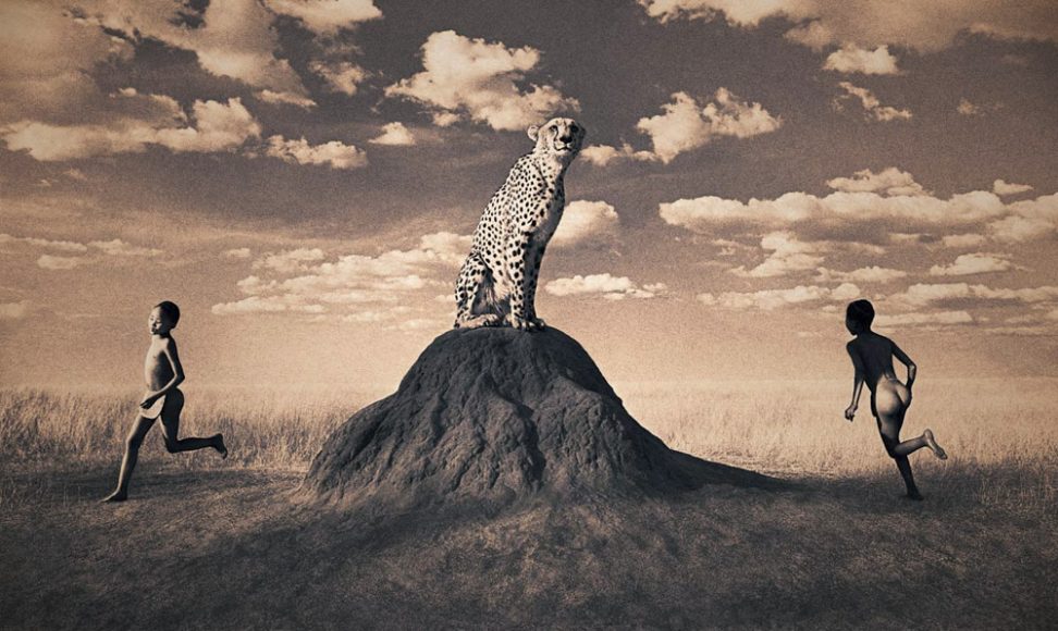 “Ashes and Snow” – Gregory Colbert | The Forest