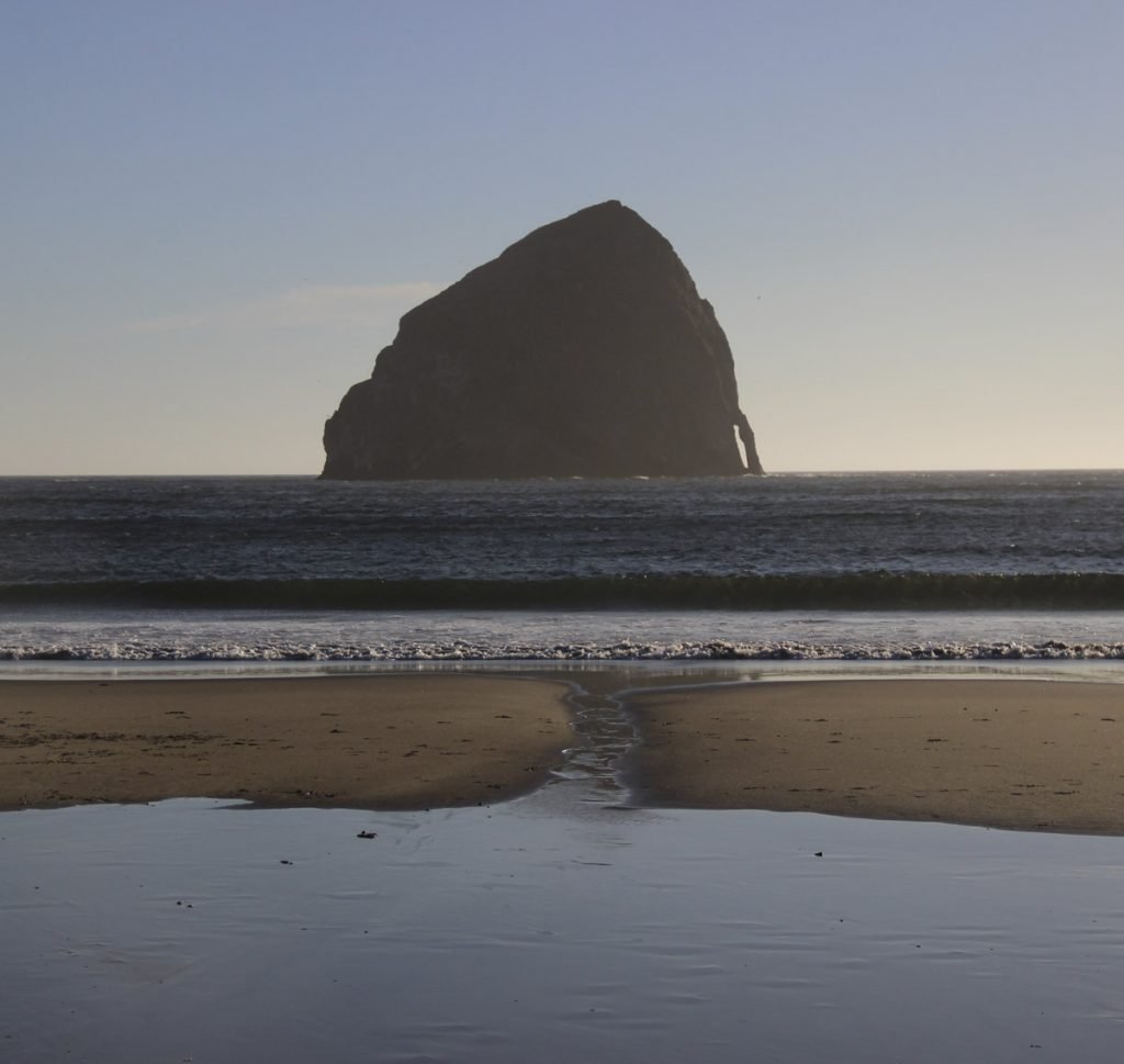 Interview Morgan Grether | The Forest