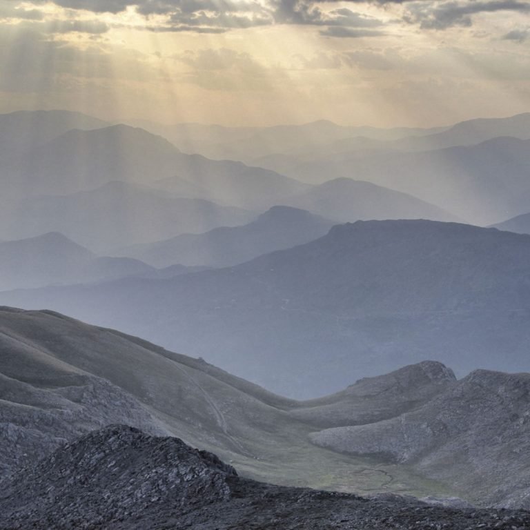 Interview Morgan Grether | The Forest