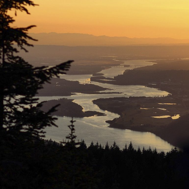 Interview Morgan Grether | The Forest