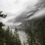 Interview Morgan Grether | The Forest