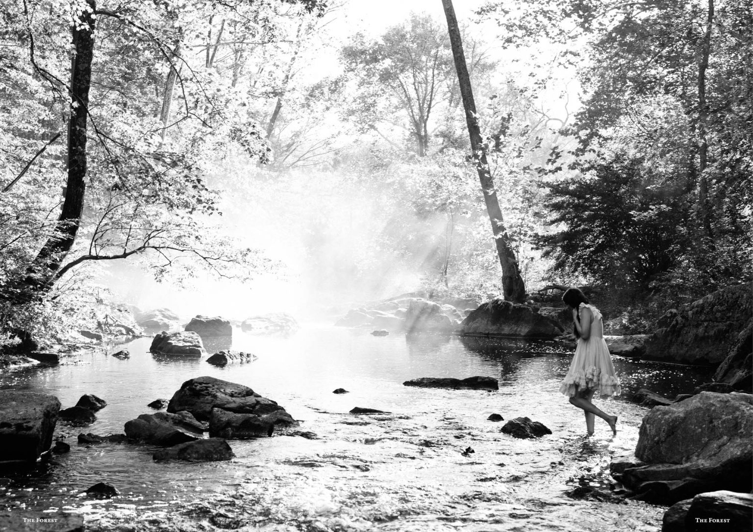 Smoke On The Water | The Forest