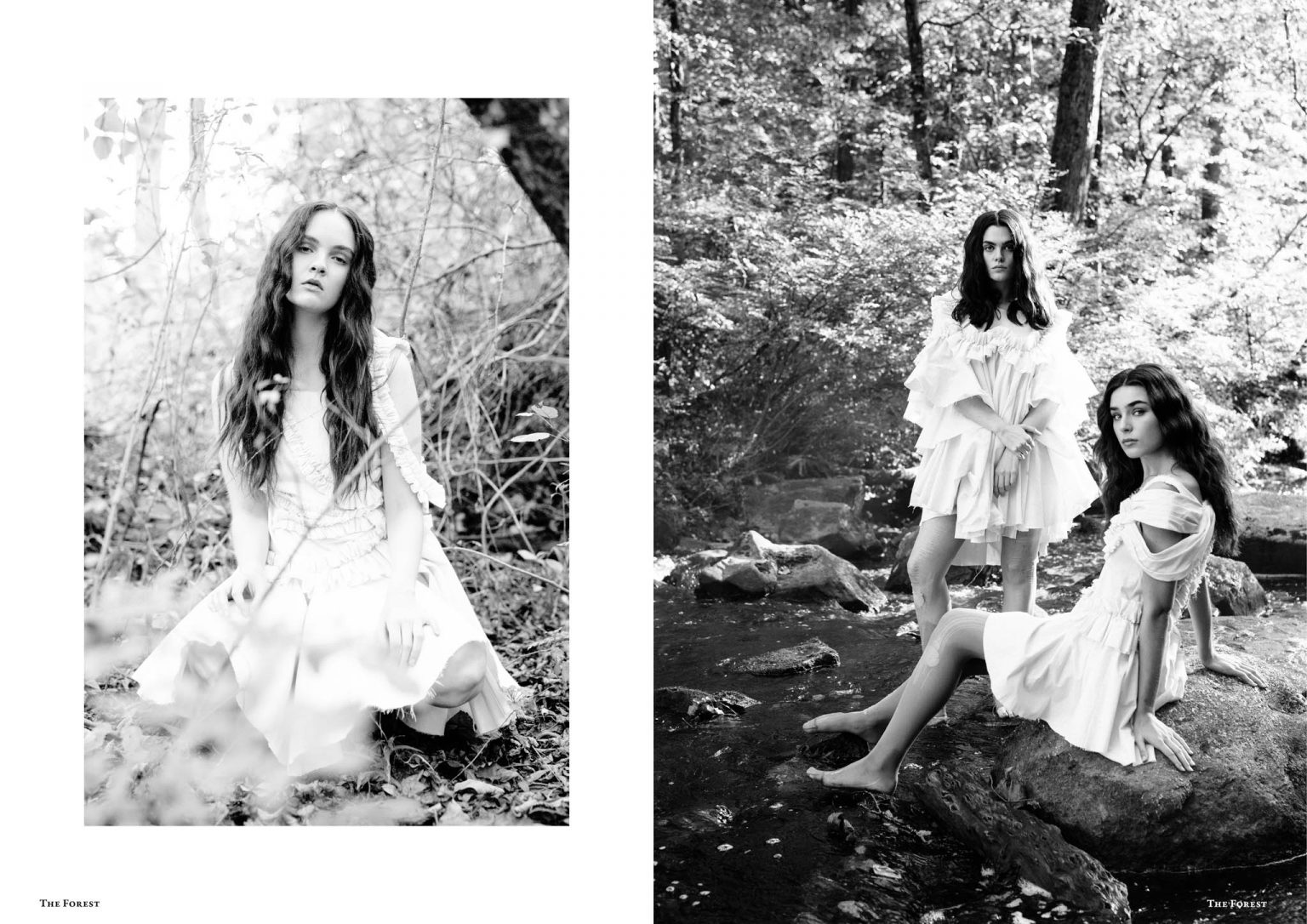 Smoke On The Water | The Forest