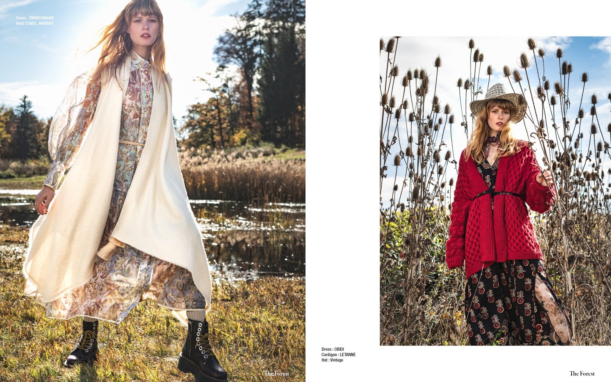 Michael Orlik | In Love With Nature | The Forest