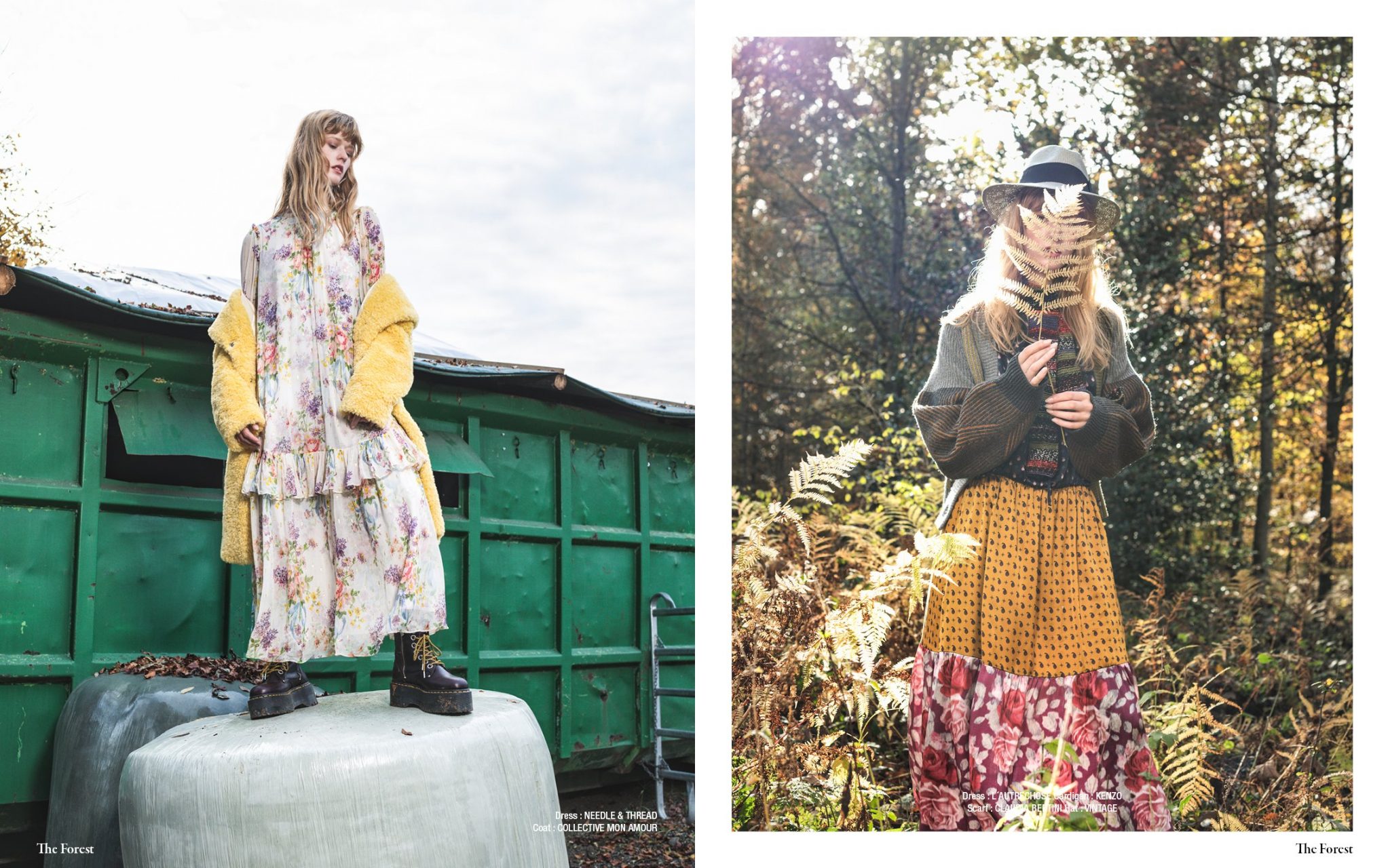 Michael Orlik | In Love With Nature | The Forest